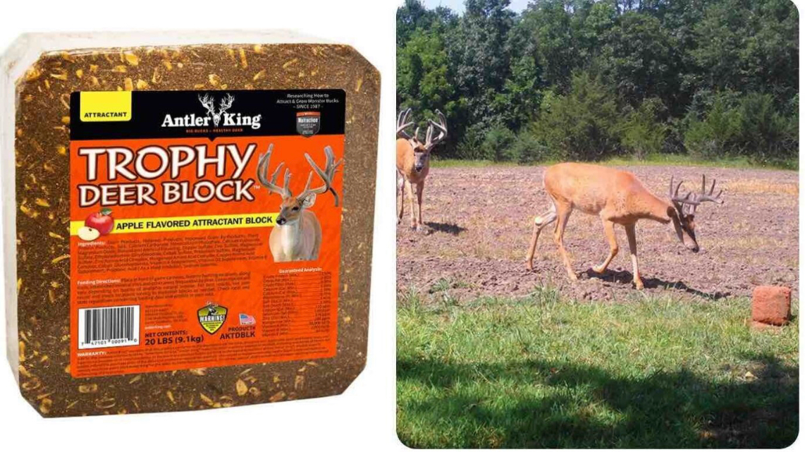 Deer Attractants For Whitetail Deer Antler King Trophy Deer Mineral ...