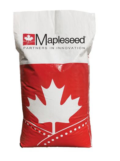 Double Cut Red Clover Grass Seed 25kg – The Mercantile and Feed Company