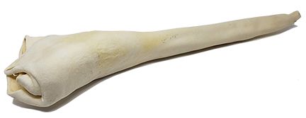Open Range Bull Tail Full Length – The Mercantile and Feed Company
