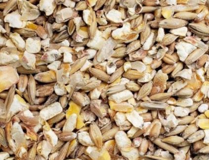 CFS Scratch Grain 25KG – The Mercantile and Feed Company